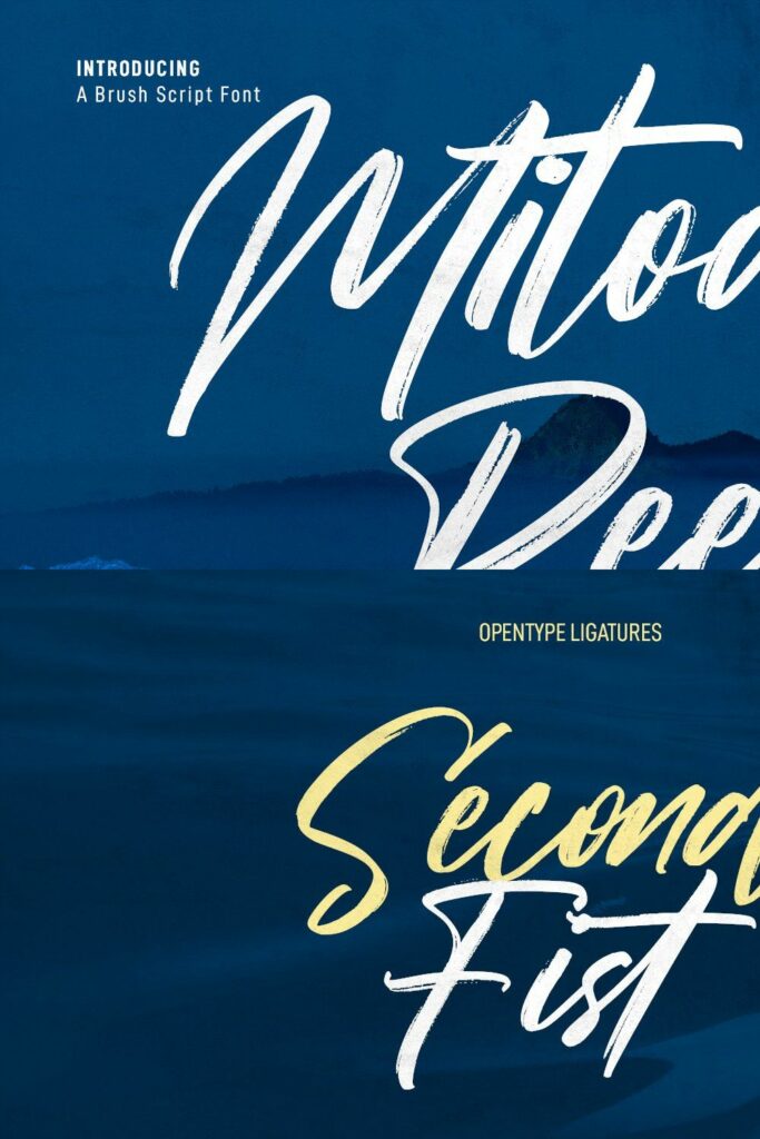 Mitoda Reels Brush Script Font – MasterBundles