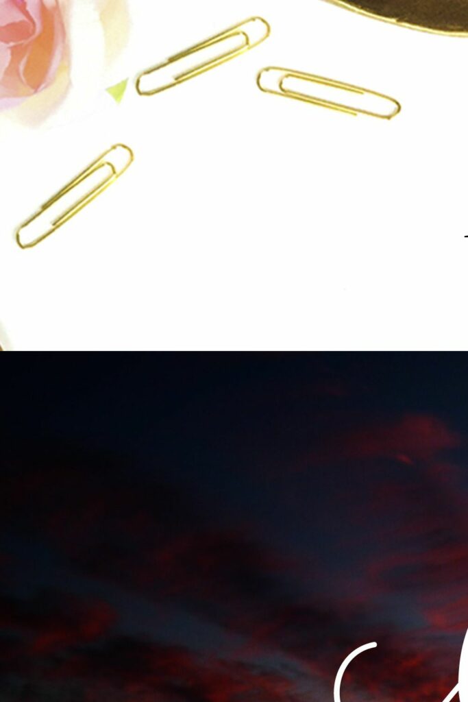 Mottona Bold Script – MasterBundles