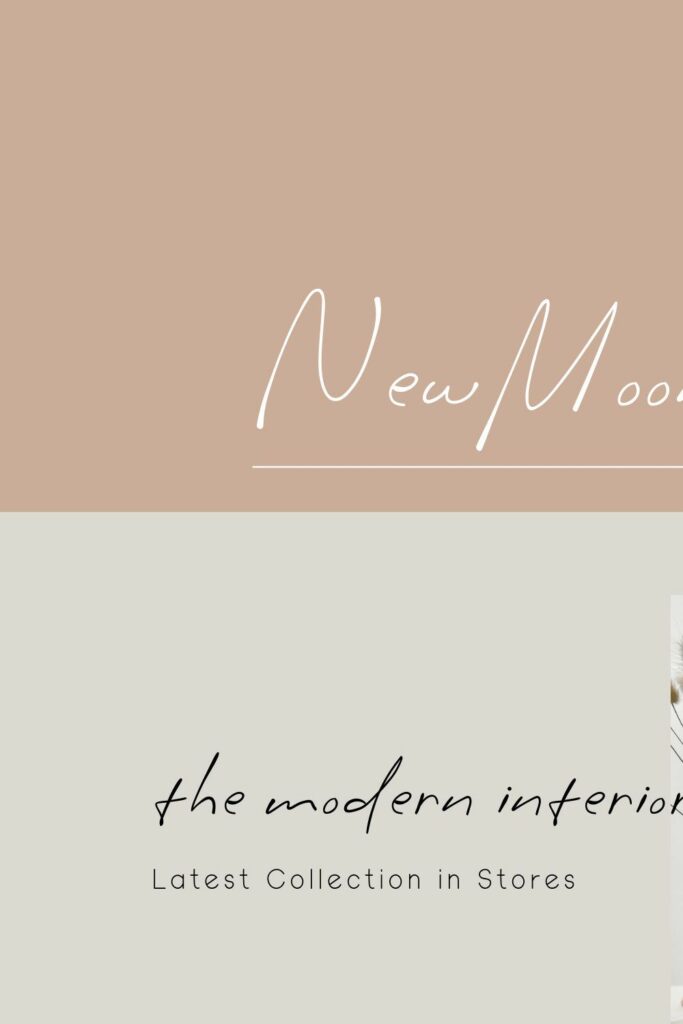 New Moon Day Script Font – MasterBundles