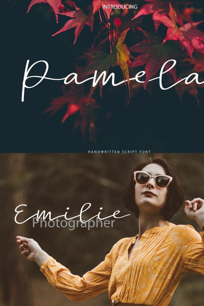 New! Pamela | Script Font – MasterBundles
