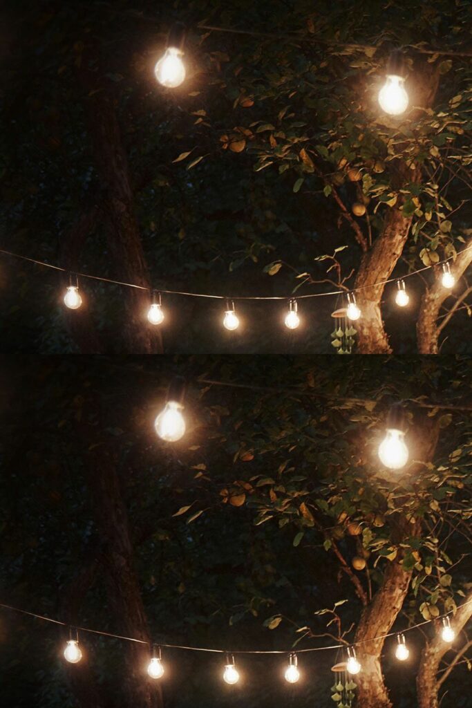 Night Garden Digital Backdrop – MasterBundles