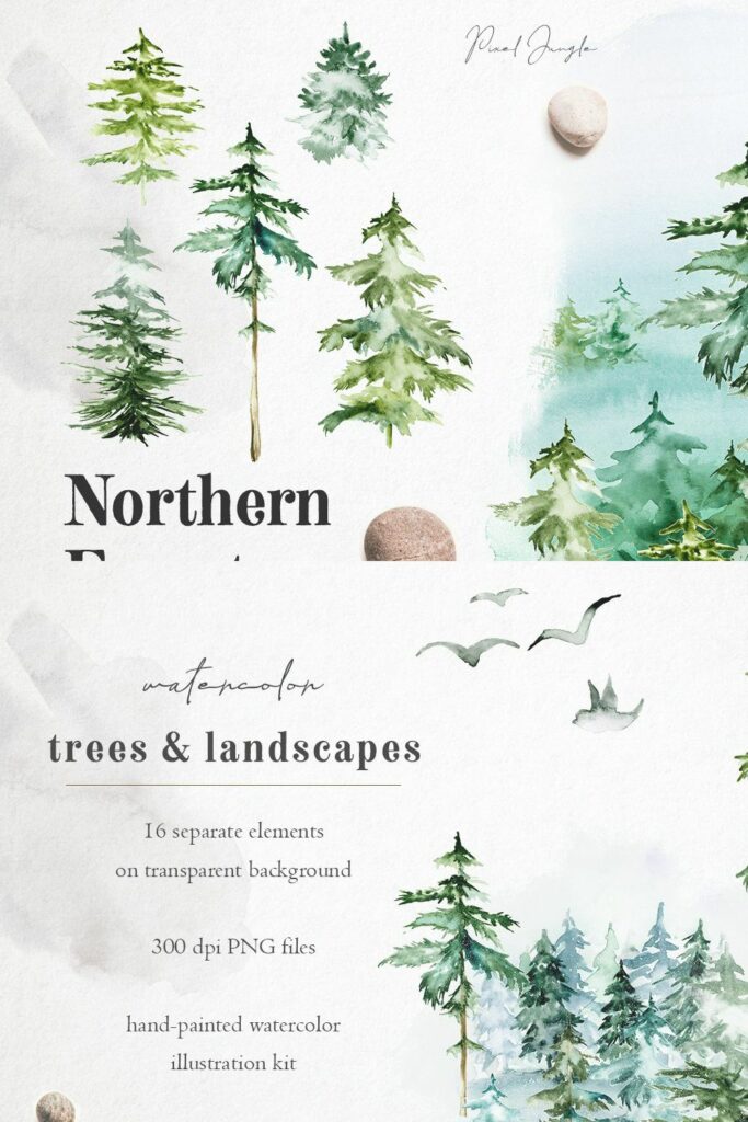 Northern Forest - 16 design elements – MasterBundles