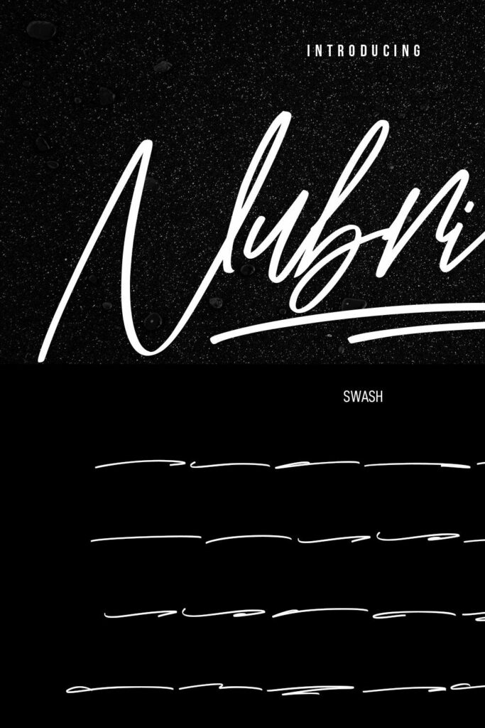 Nubriska Signature Script Font – MasterBundles