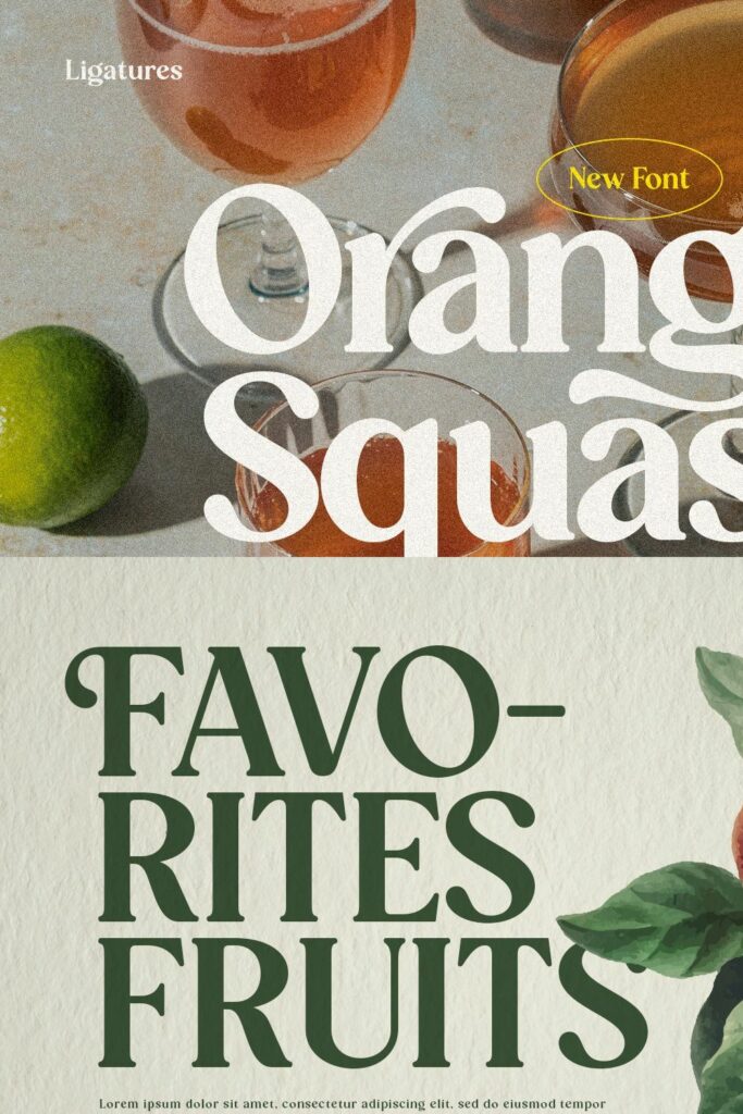 Orange Squash - Bold Vintage Serif – MasterBundles