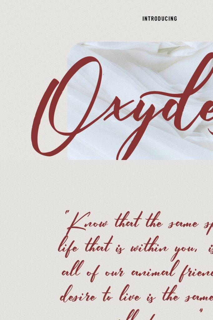 Oxydest Script Font – MasterBundles