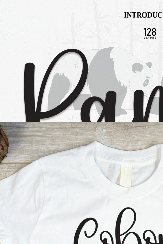Panda | Script Font – MasterBundles