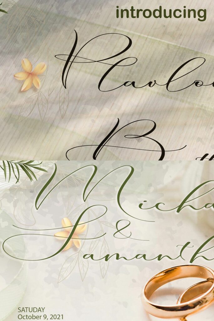 Plavlova Butter Font Script – MasterBundles