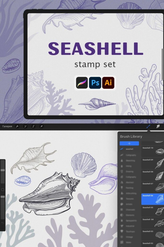 Procreate - Seashell Stamps – MasterBundles