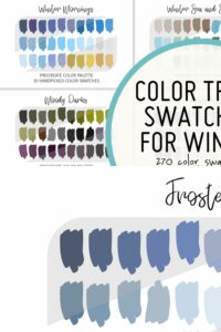 Procreate Winter Color Palettes – MasterBundles