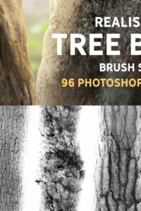 Realistic Tree bark brush set – MasterBundles