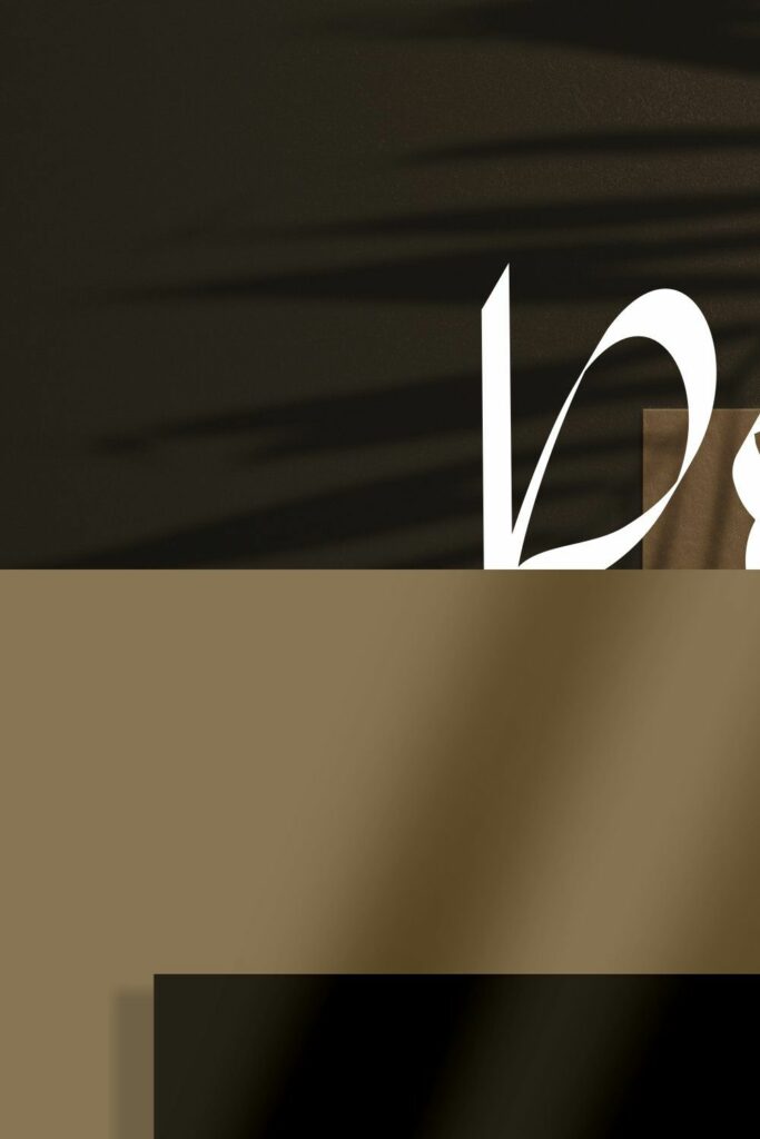 Robins Aisha - Script style font – MasterBundles