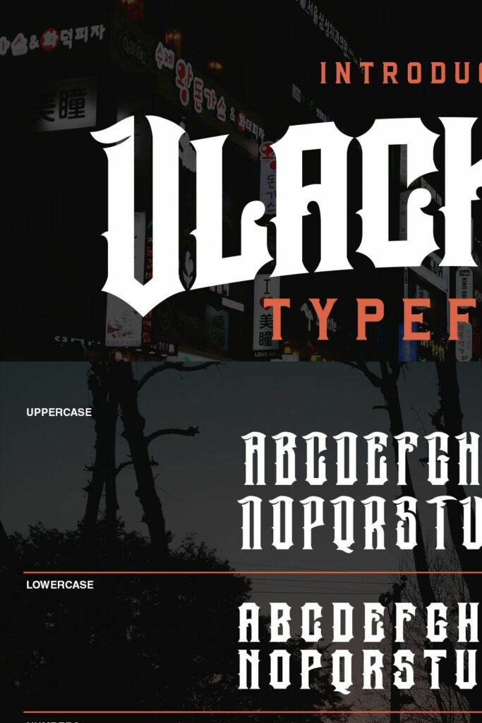 RSB VlackFink Typeface – MasterBundles