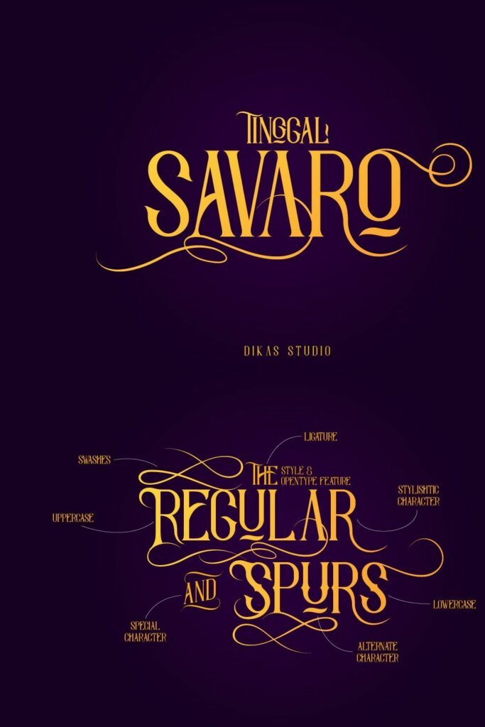 Savaro Typeface – MasterBundles