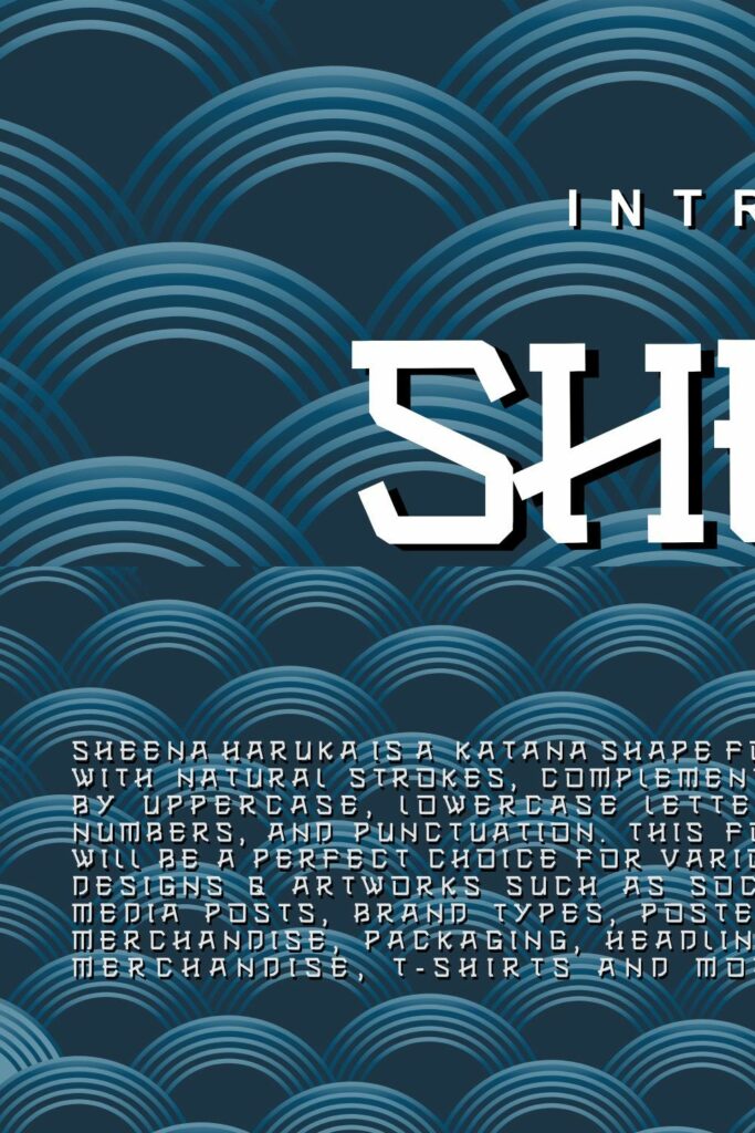 SheenaHaruka Japanese Font – MasterBundles