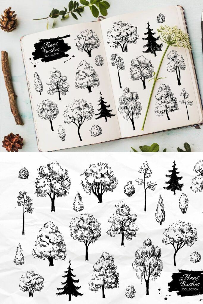 Sketch Set of Trees and Bushes. – MasterBundles