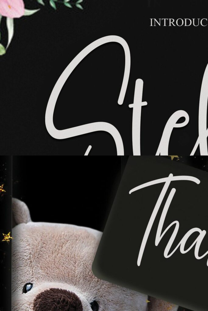 Stella | Script Font – MasterBundles
