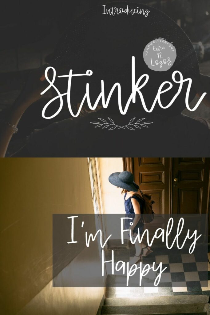 Stinker | Bonus 12 Logos – MasterBundles