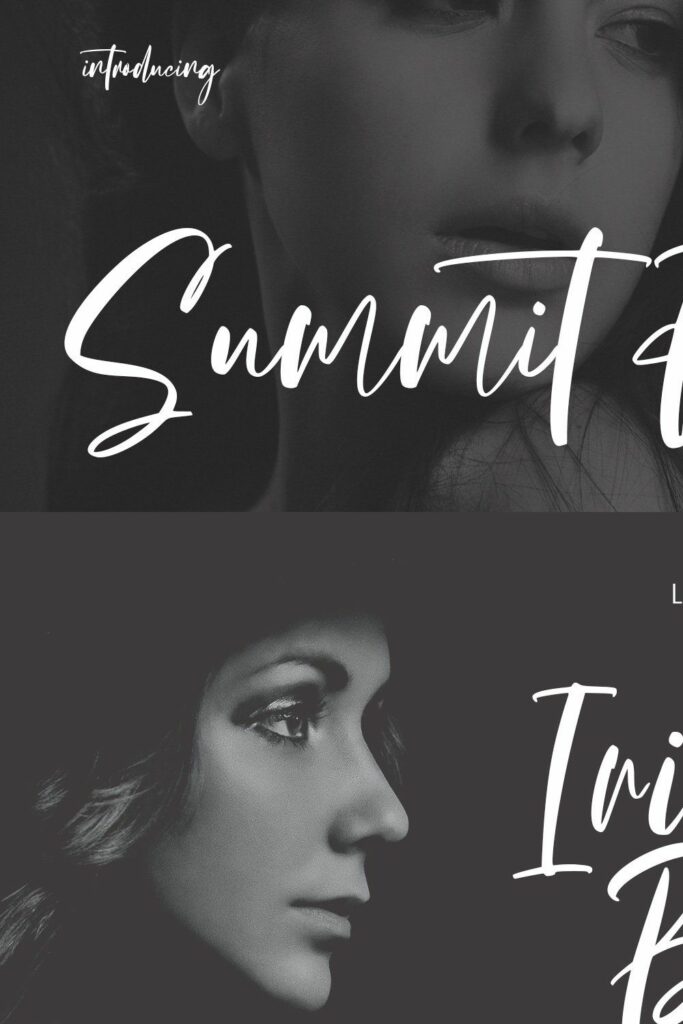 Summit Foxes Script Font – MasterBundles