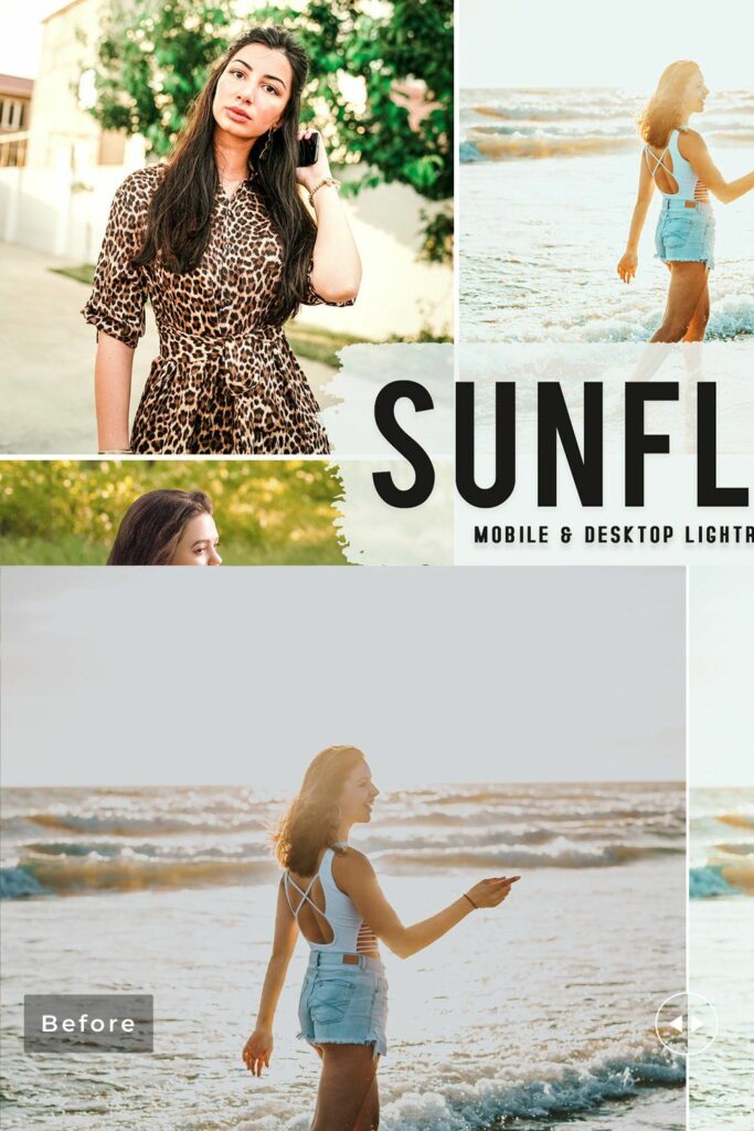 Sunflare Pro Lightroom Presets – MasterBundles