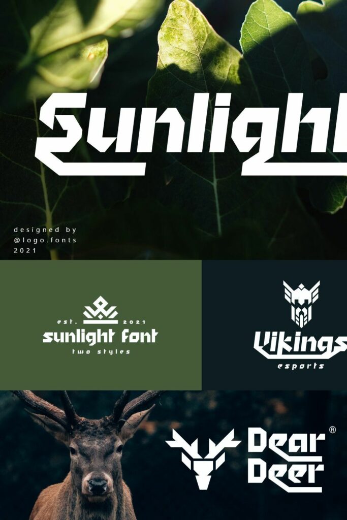 Sunlight Modern Font – MasterBundles