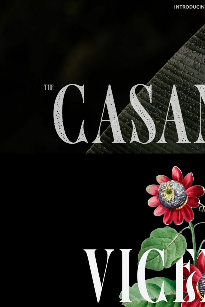 The Casanova (clean & rough) – MasterBundles