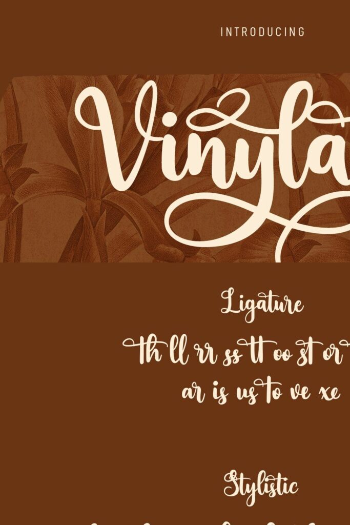Vinylatte Fancy Handwritten Script – MasterBundles