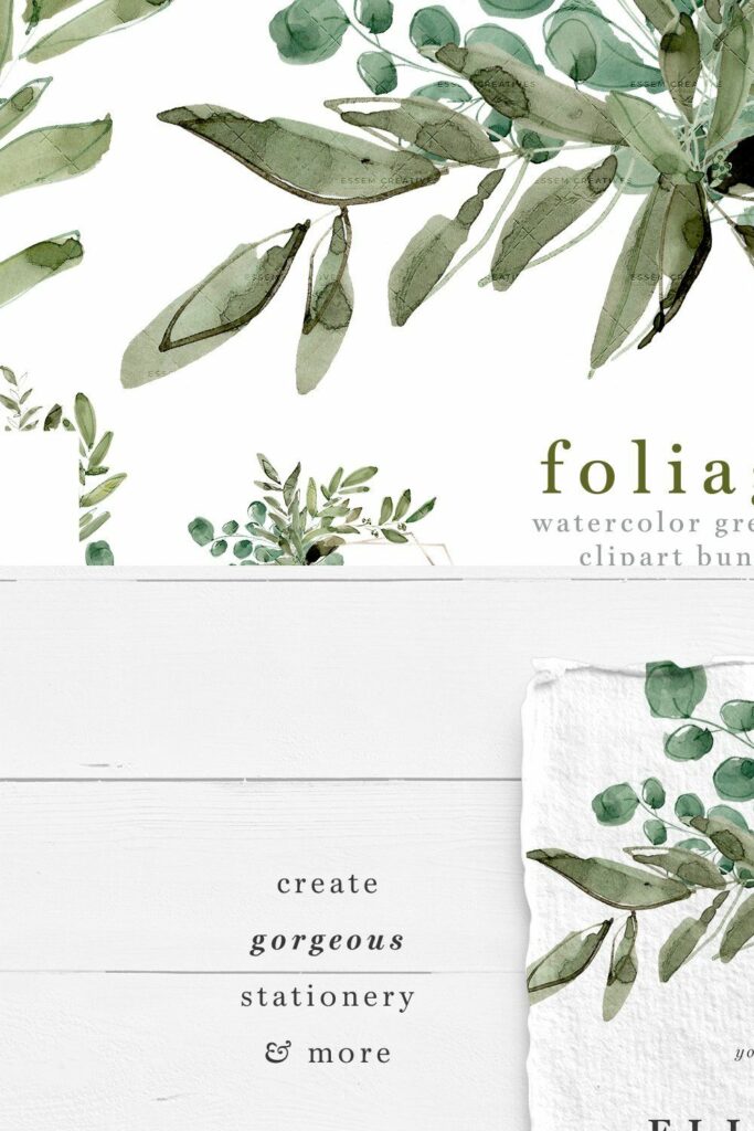 Watercolor Eucalyptus Clipart Foliag – MasterBundles