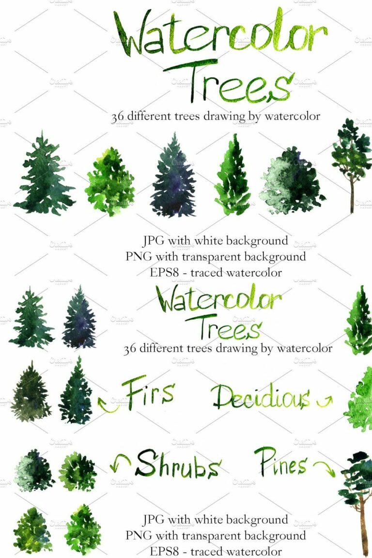 Watercolor trees. – MasterBundles