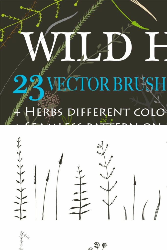 Wild Grass & Herbs Vector Brushes – MasterBundles