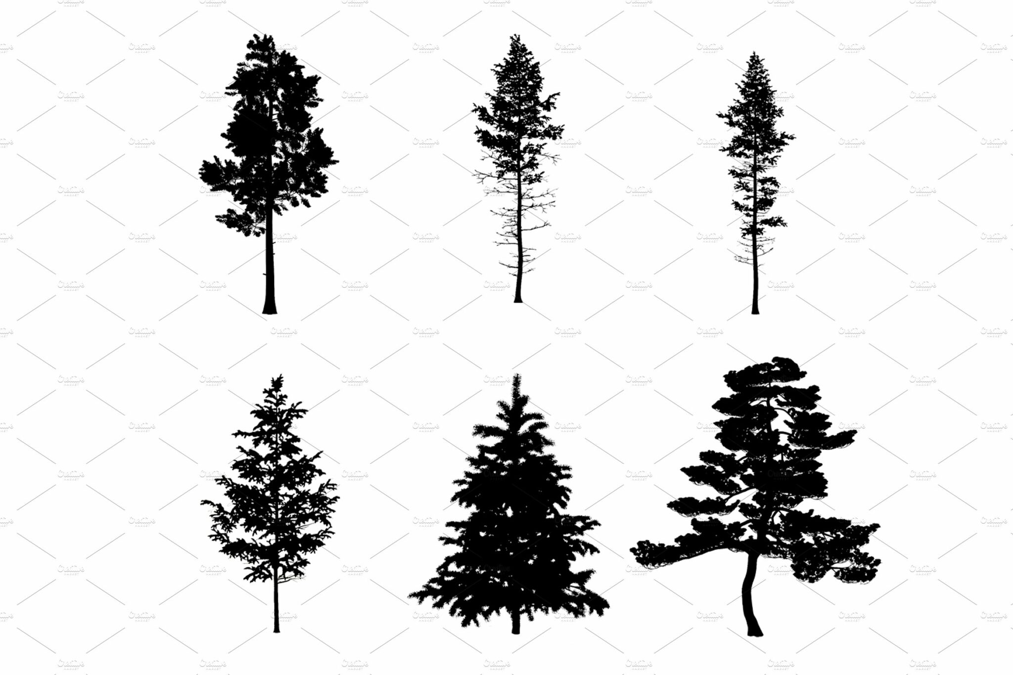 Pine Tree Photoshop Brushes – MasterBundles