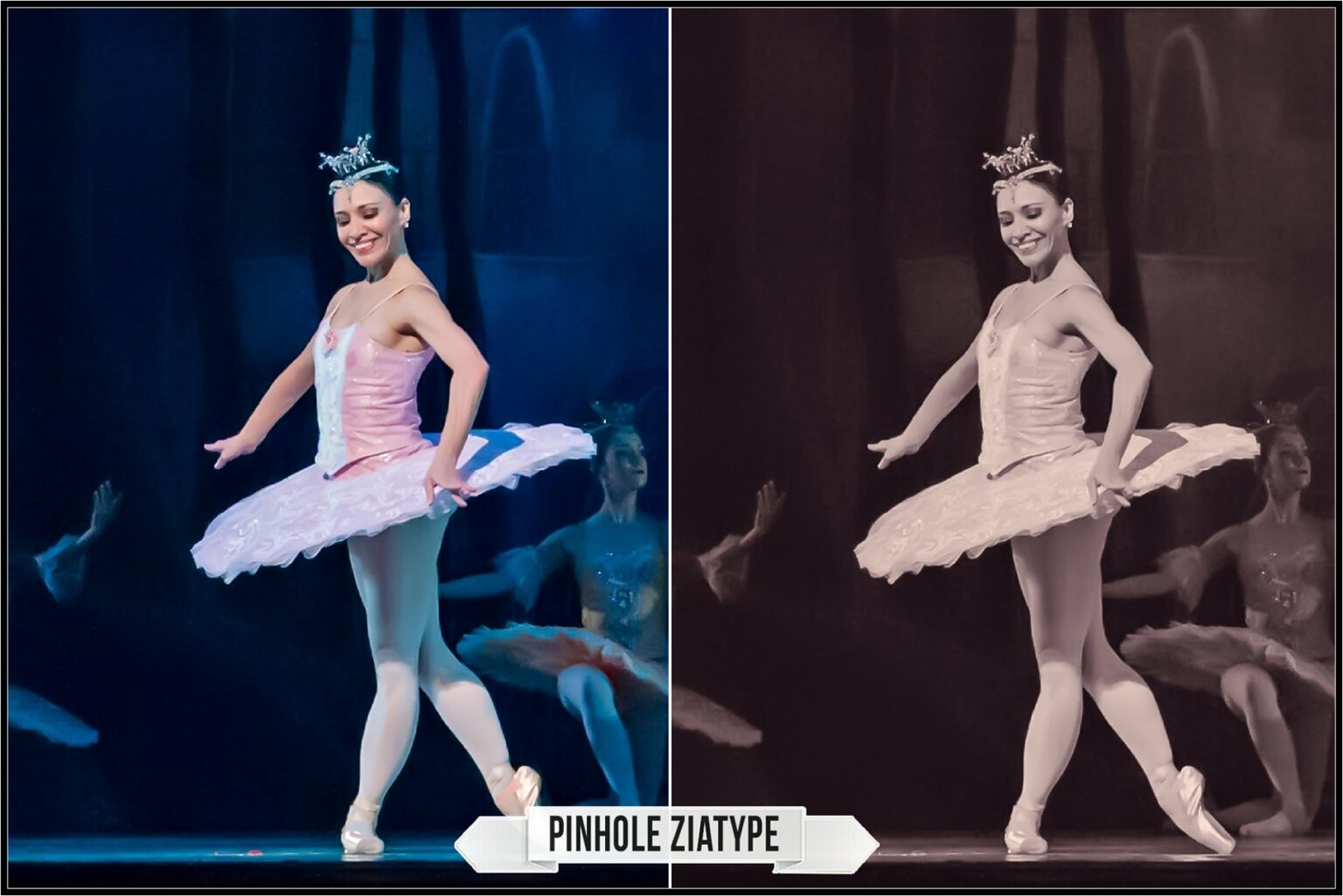 Platinum Palladium Prints LUTs – MasterBundles