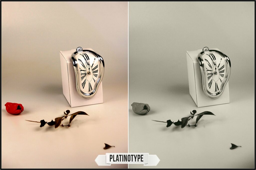 Platinum Palladium Prints LUTs – MasterBundles