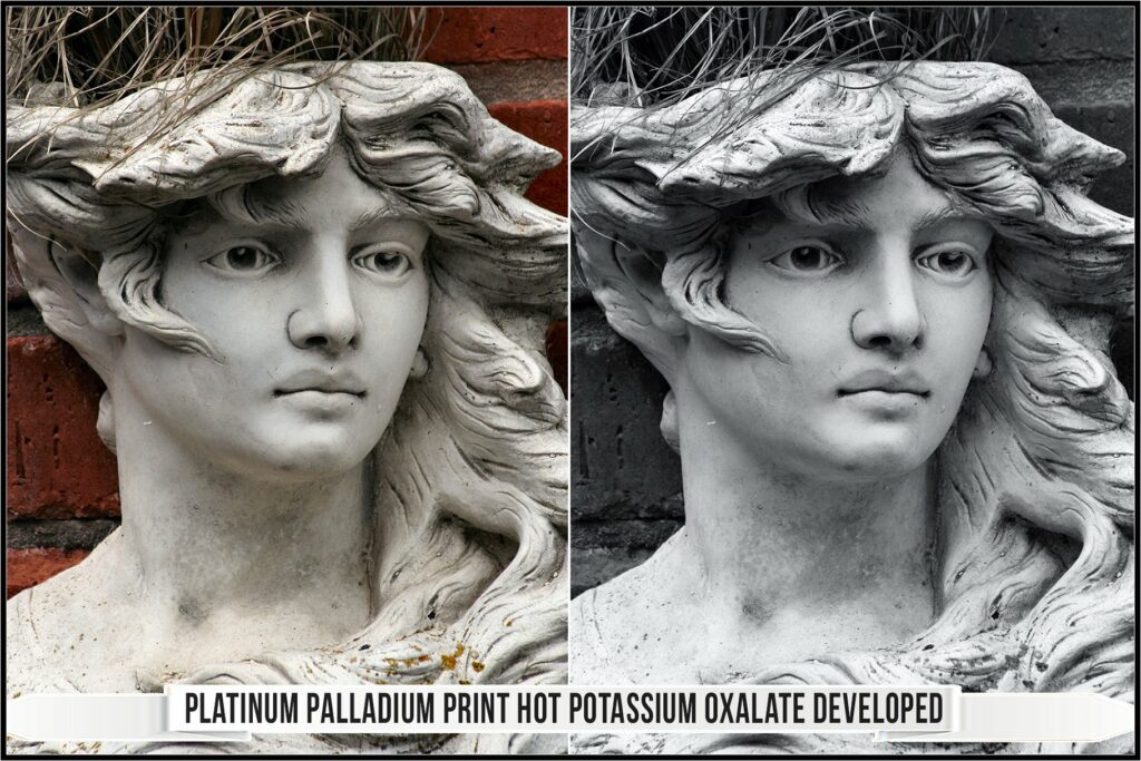 Platinum Palladium Prints LUTs – MasterBundles