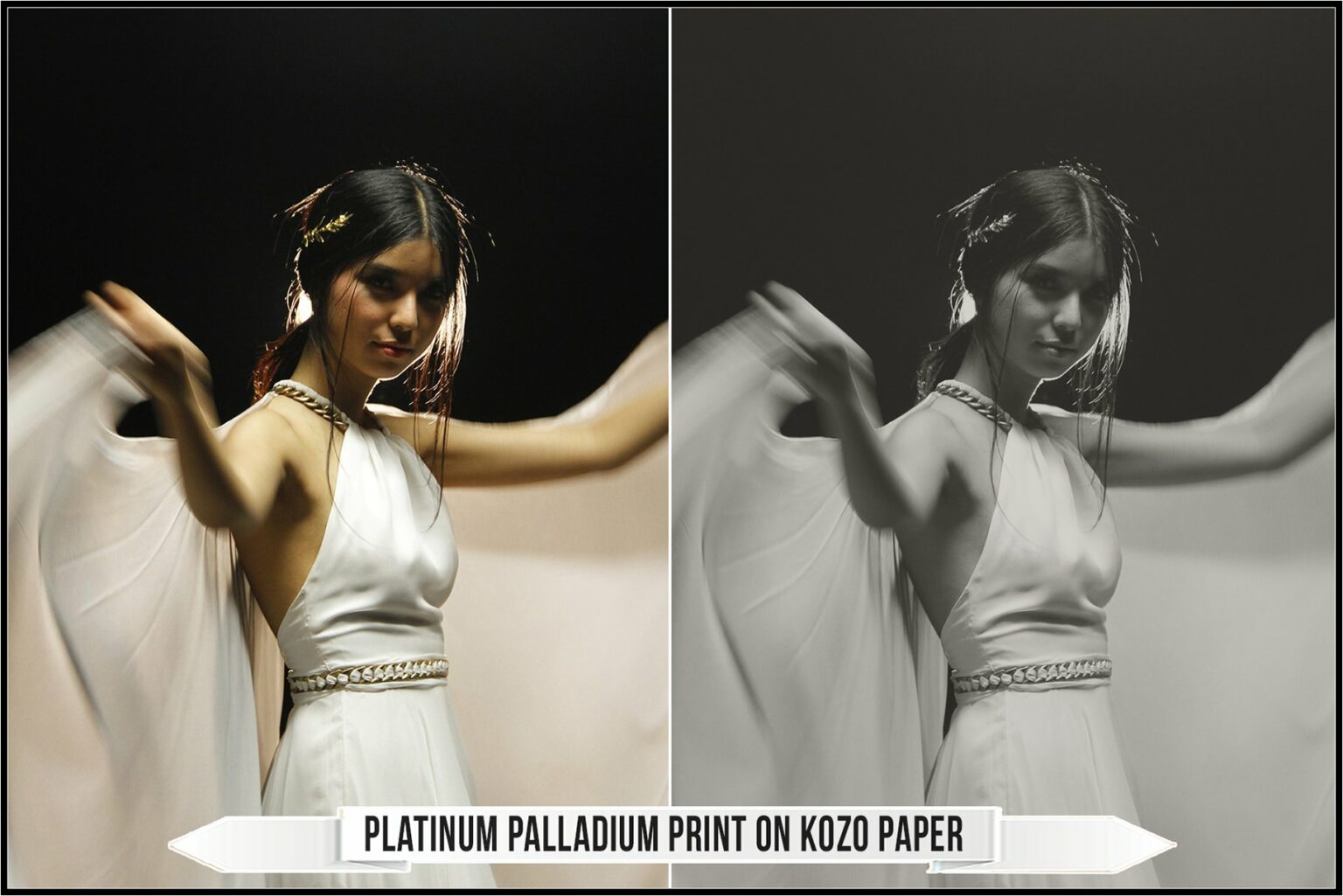 Platinum Palladium Prints LUTs – MasterBundles