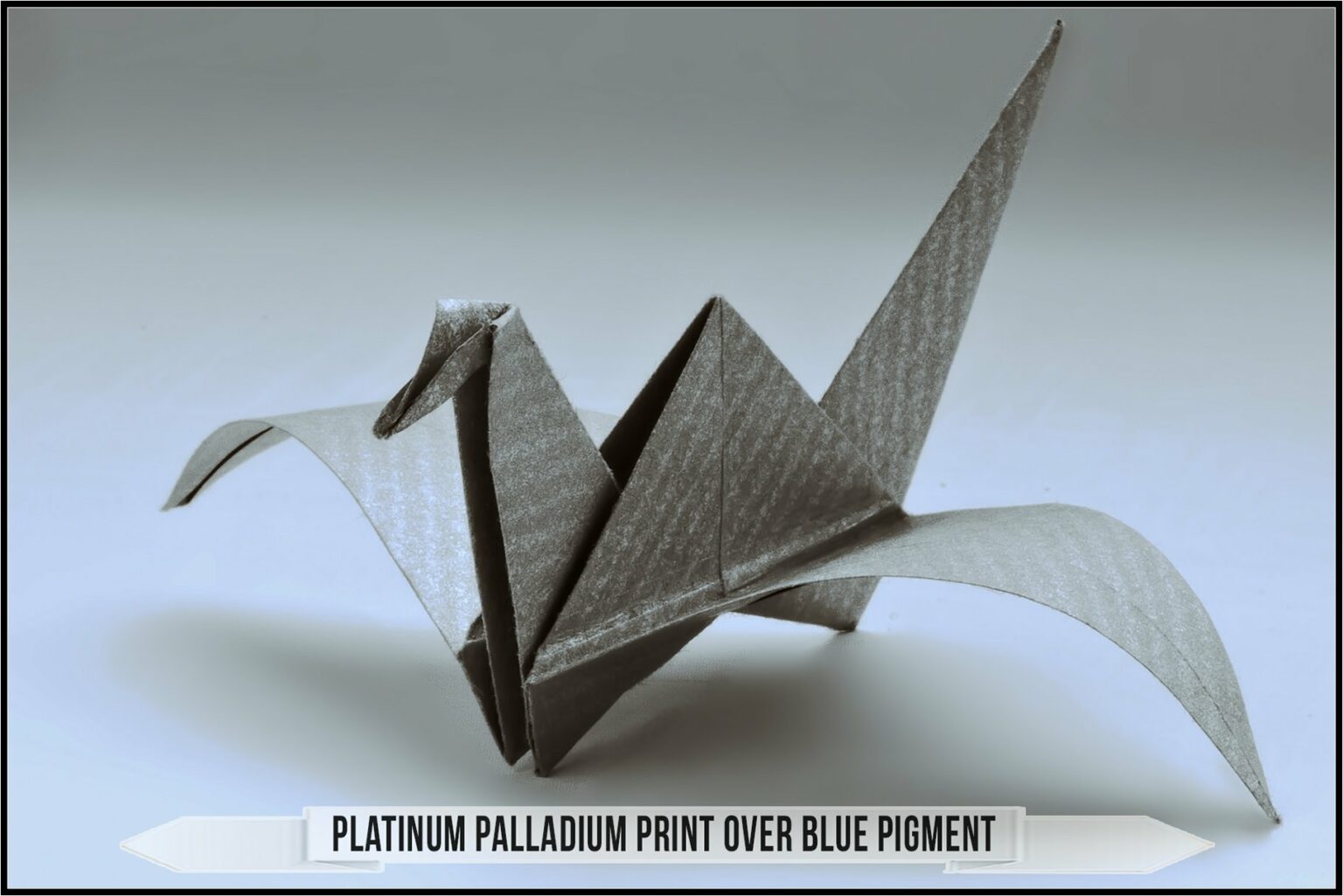 Platinum Palladium Prints LUTs – MasterBundles