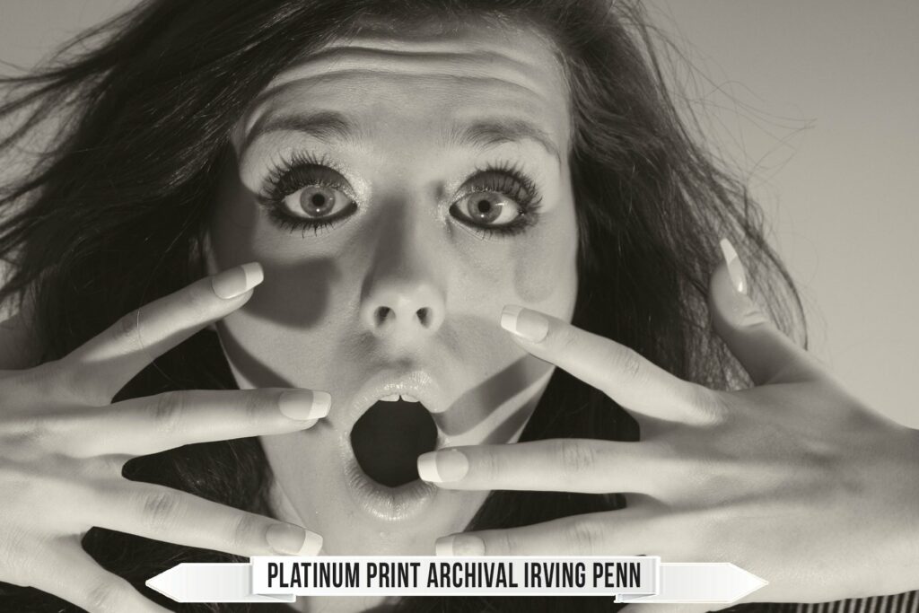 Platinum Palladium Prints LUTs – MasterBundles