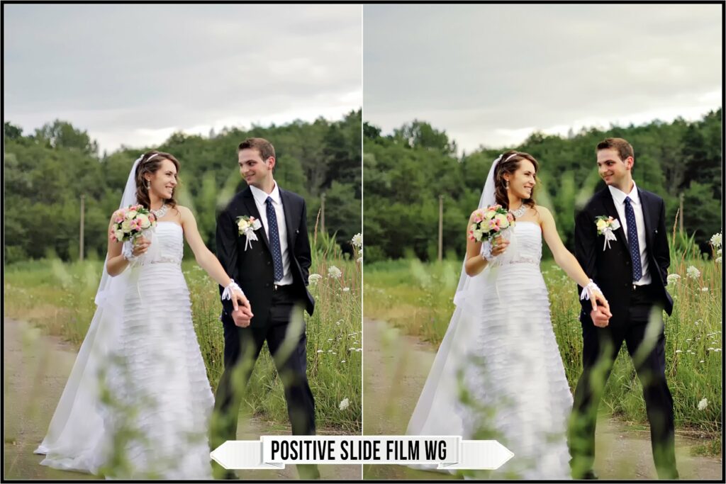 Ricoh Image Controls & Creative Mode – MasterBundles
