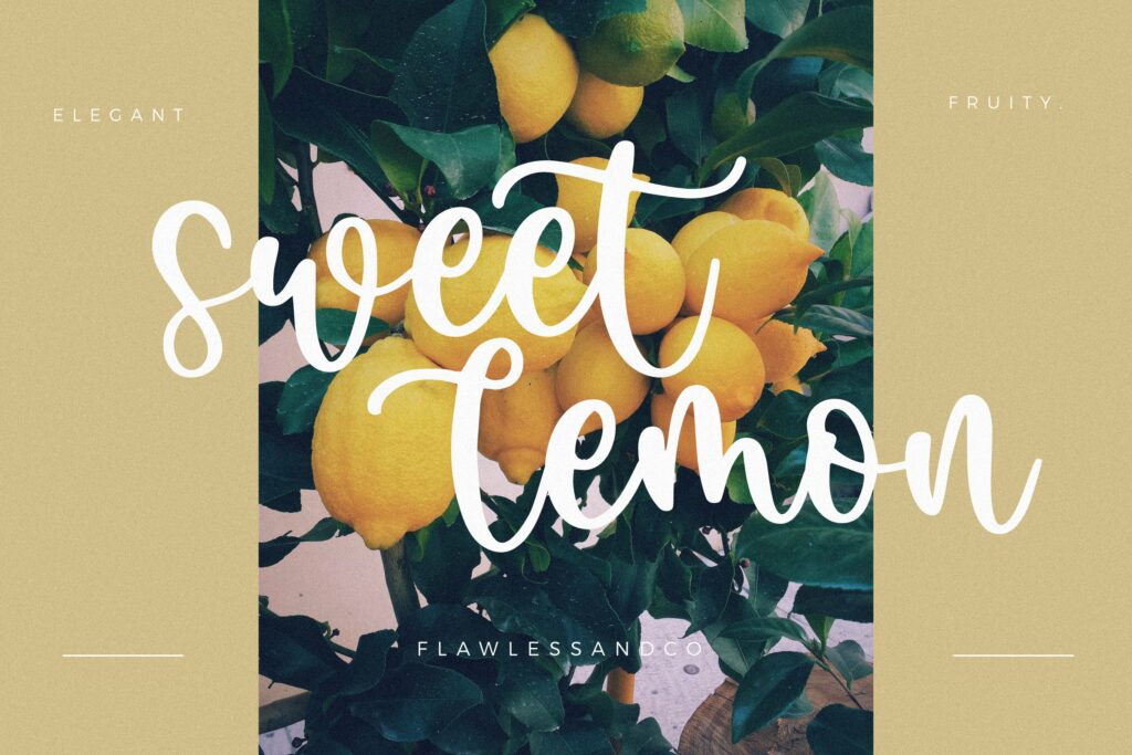 Potery Script - Fun Handwritten Font – MasterBundles