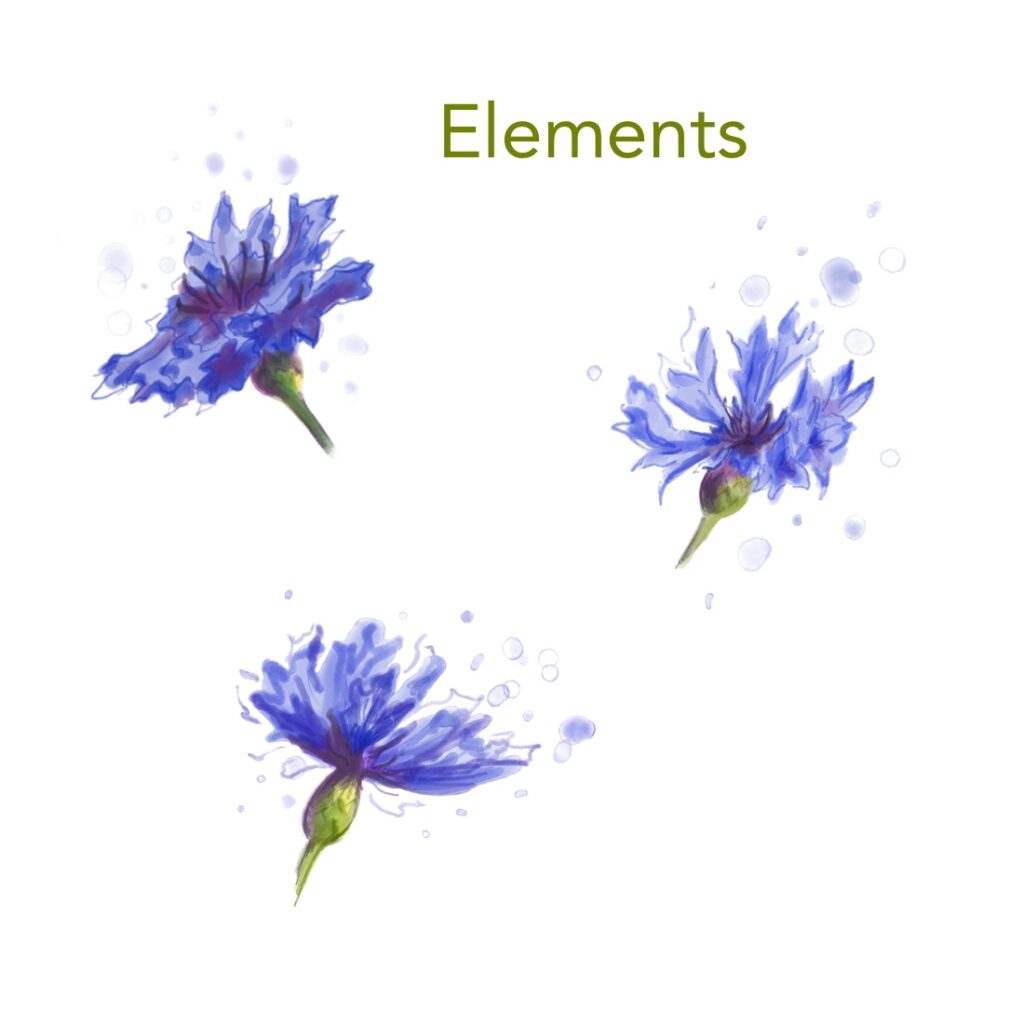 Floral and fruit patterns & elements - MasterBundles
