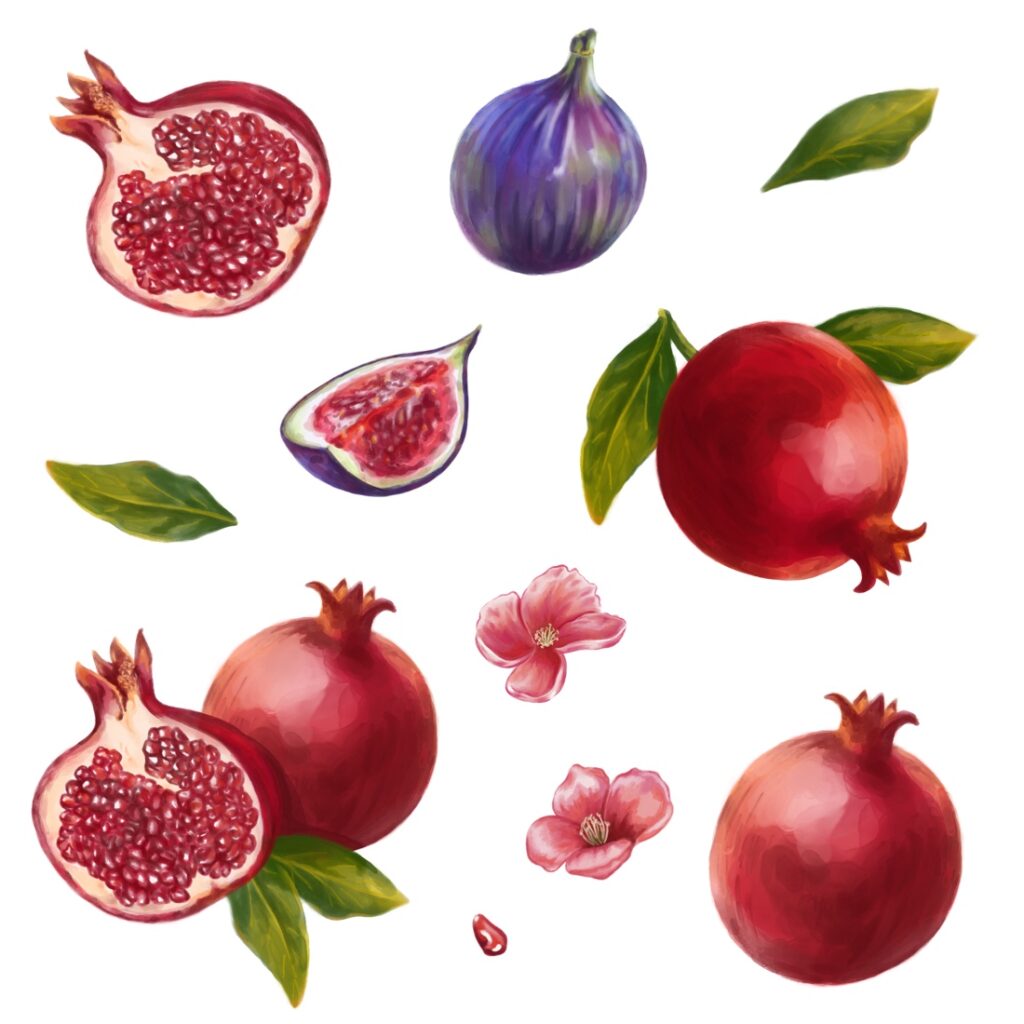 Floral and fruit patterns & elements - MasterBundles