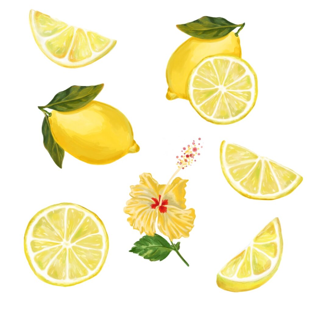 Floral and fruit patterns & elements - MasterBundles