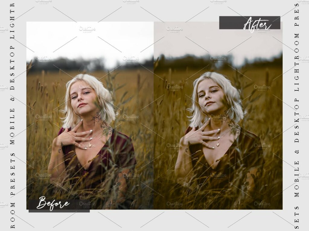 MOODY TALE - Lightroom Presets – MasterBundles