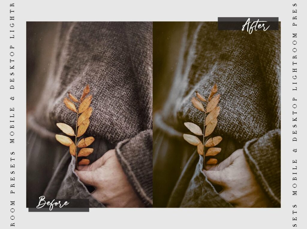 MOODY TALE - Lightroom Presets – MasterBundles