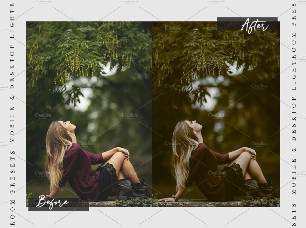 MOODY TALE - Lightroom Presets – MasterBundles