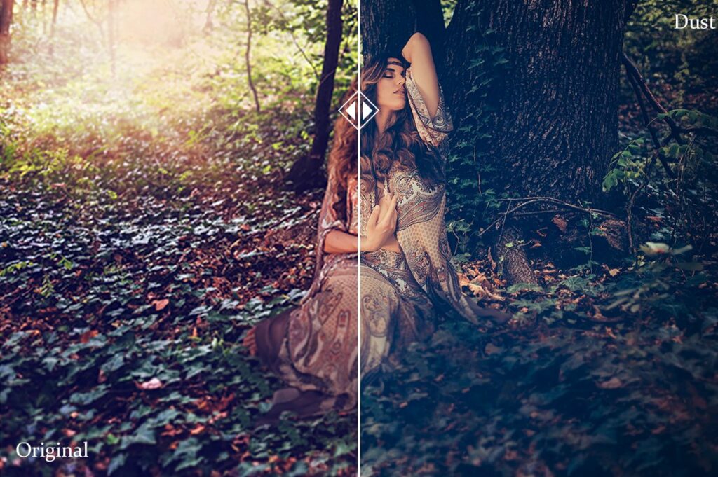 50 Premium Lightroom Presets – MasterBundles