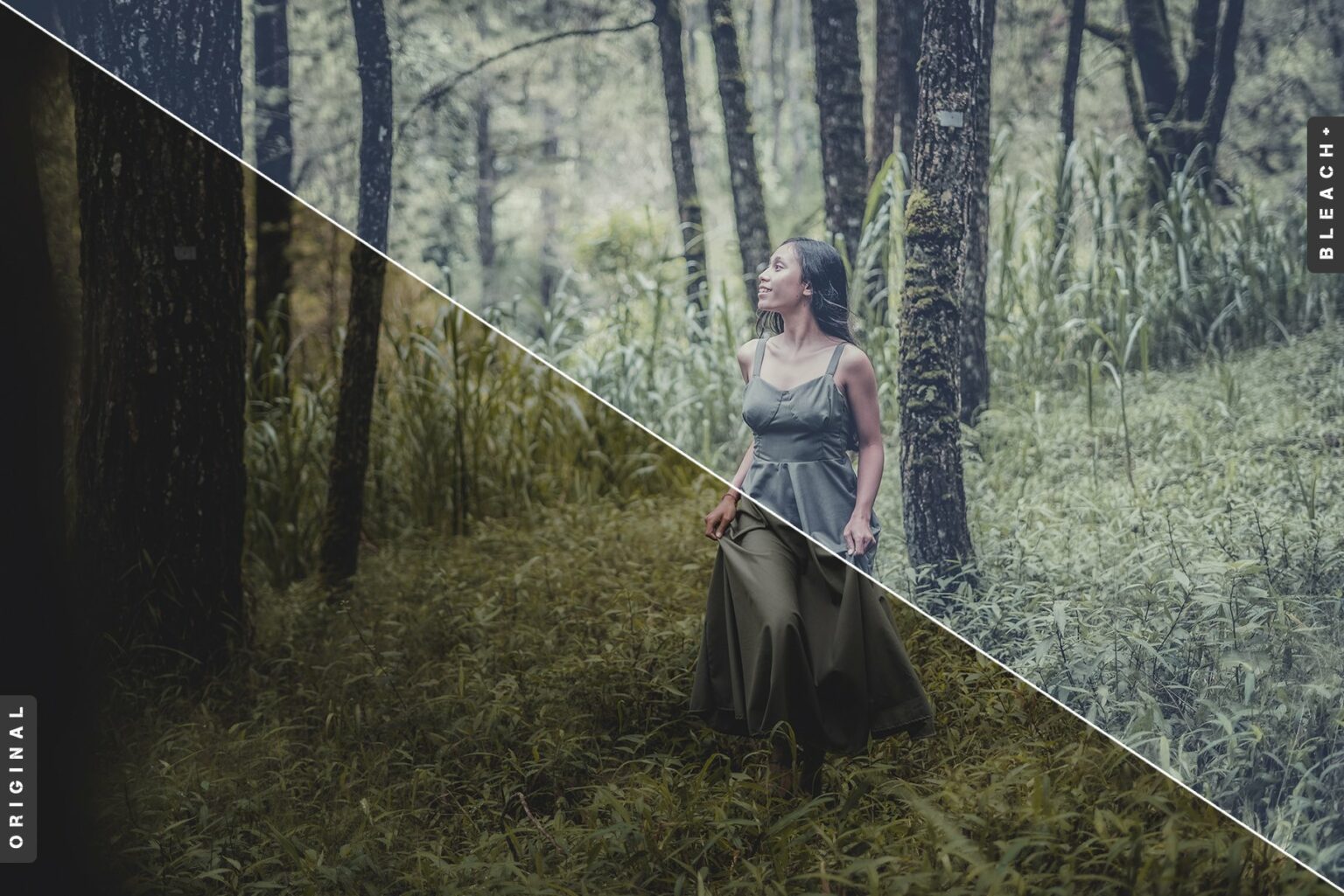 Best Matte Lightroom Presets – MasterBundles