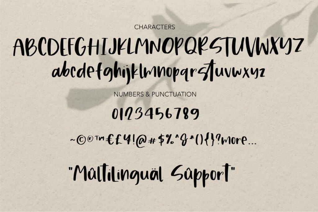 Sandra Type | Handwritten Font – MasterBundles