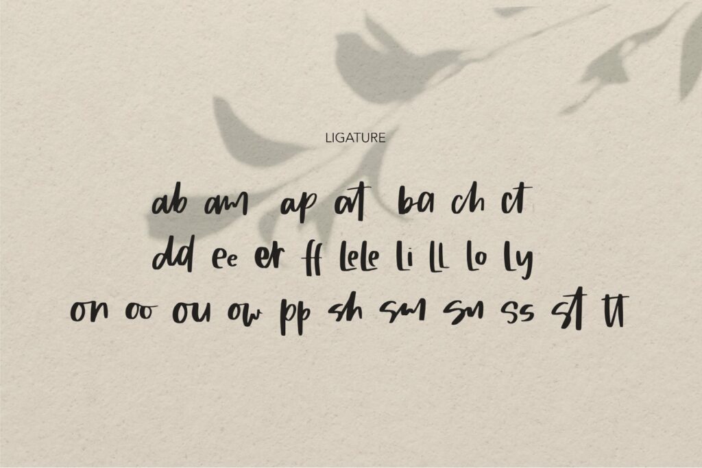 Sandra Type | Handwritten Font – MasterBundles