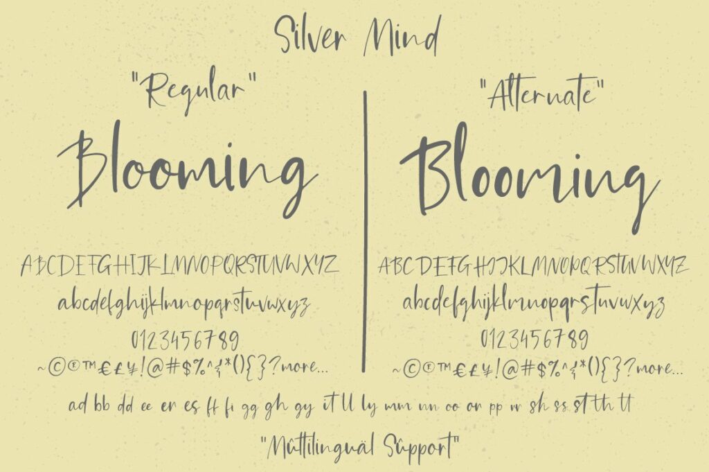 Silver Mind | Handlettered Font – MasterBundles