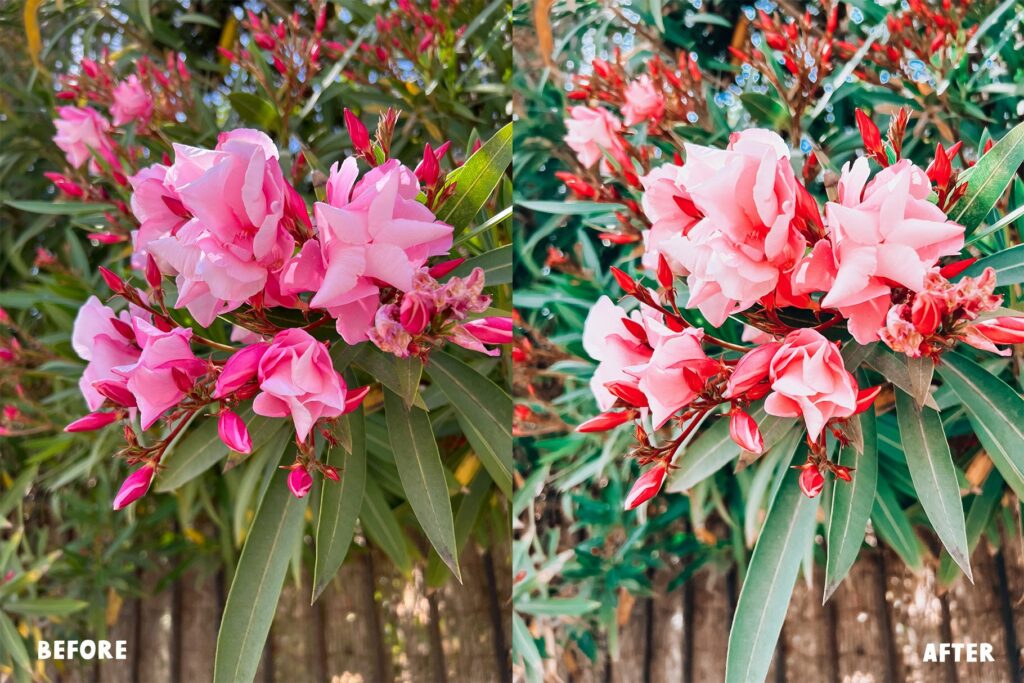 Lightroom Presets Bundle (3 for 2) – MasterBundles